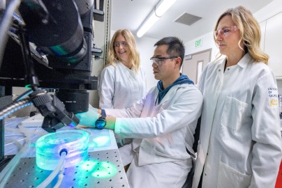 Pediatric Residency Curriculum | Pediatric Residency Program | Academic Programs | Department of ...