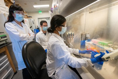 Career Development | Curriculum| Pediatric Residency Program | Academic Programs | Department of ...